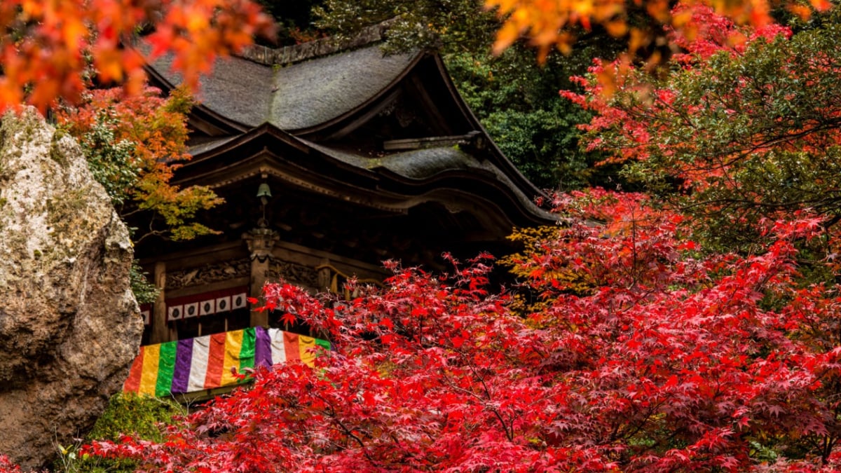 石川県の名所！紅葉が素晴らしい那谷寺には見どころが満載！ – skyticket 観光ガイド